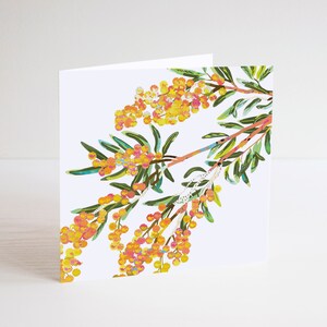 Mini Card Set of 8 Australian Native Flowers Note Cards Native Flora ...