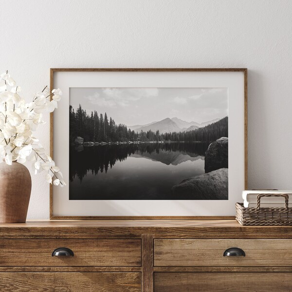 Black and White Nature Prints - Etsy