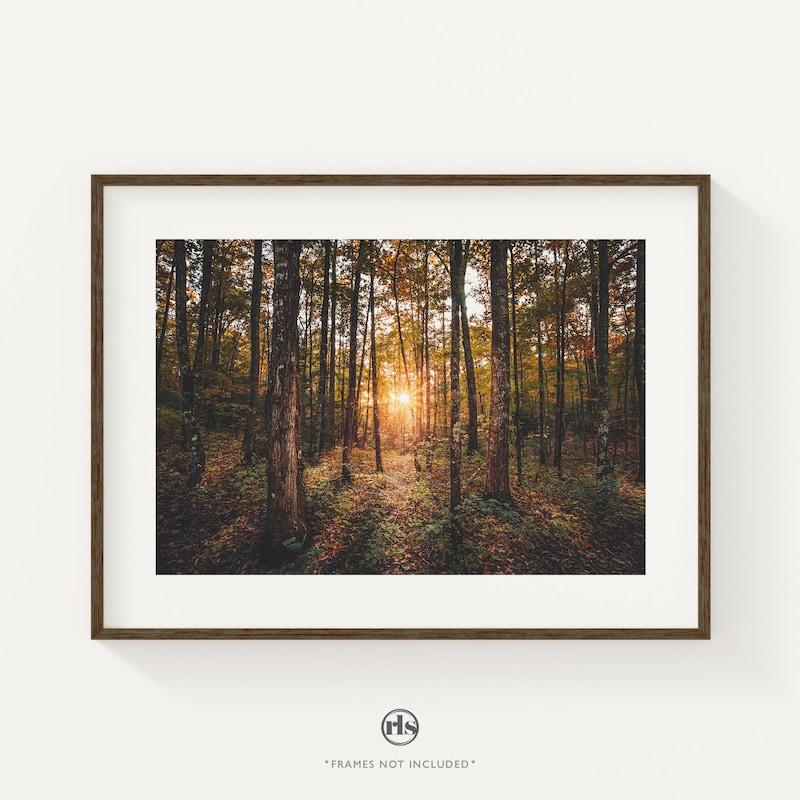 Nature Prints - Etsy