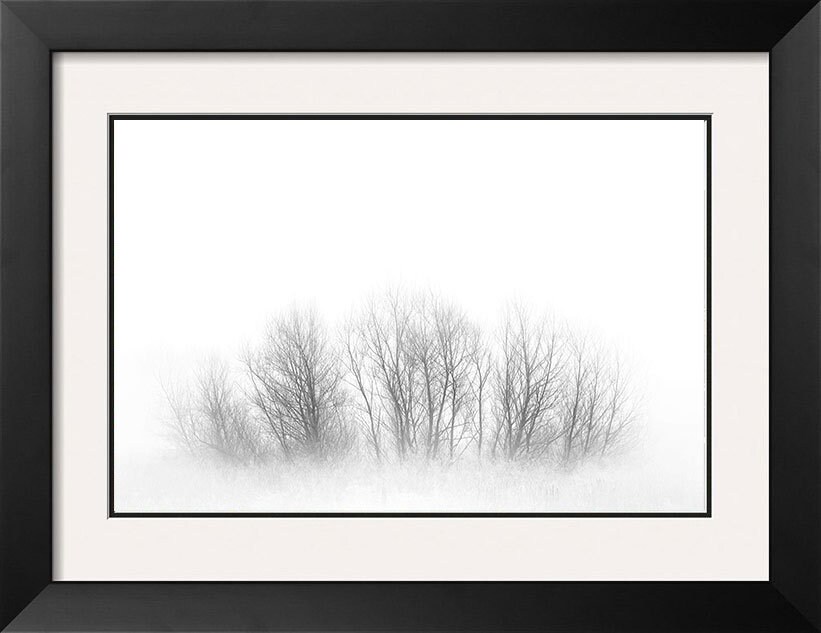 Black and White Tree Prints Forest Print Nordic Prints | Etsy