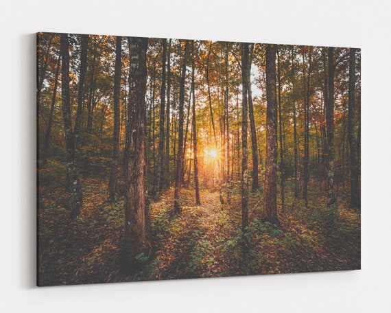 Tree Canvas Wall Art Forest Canvas Art Nature Canvas Print | Etsy