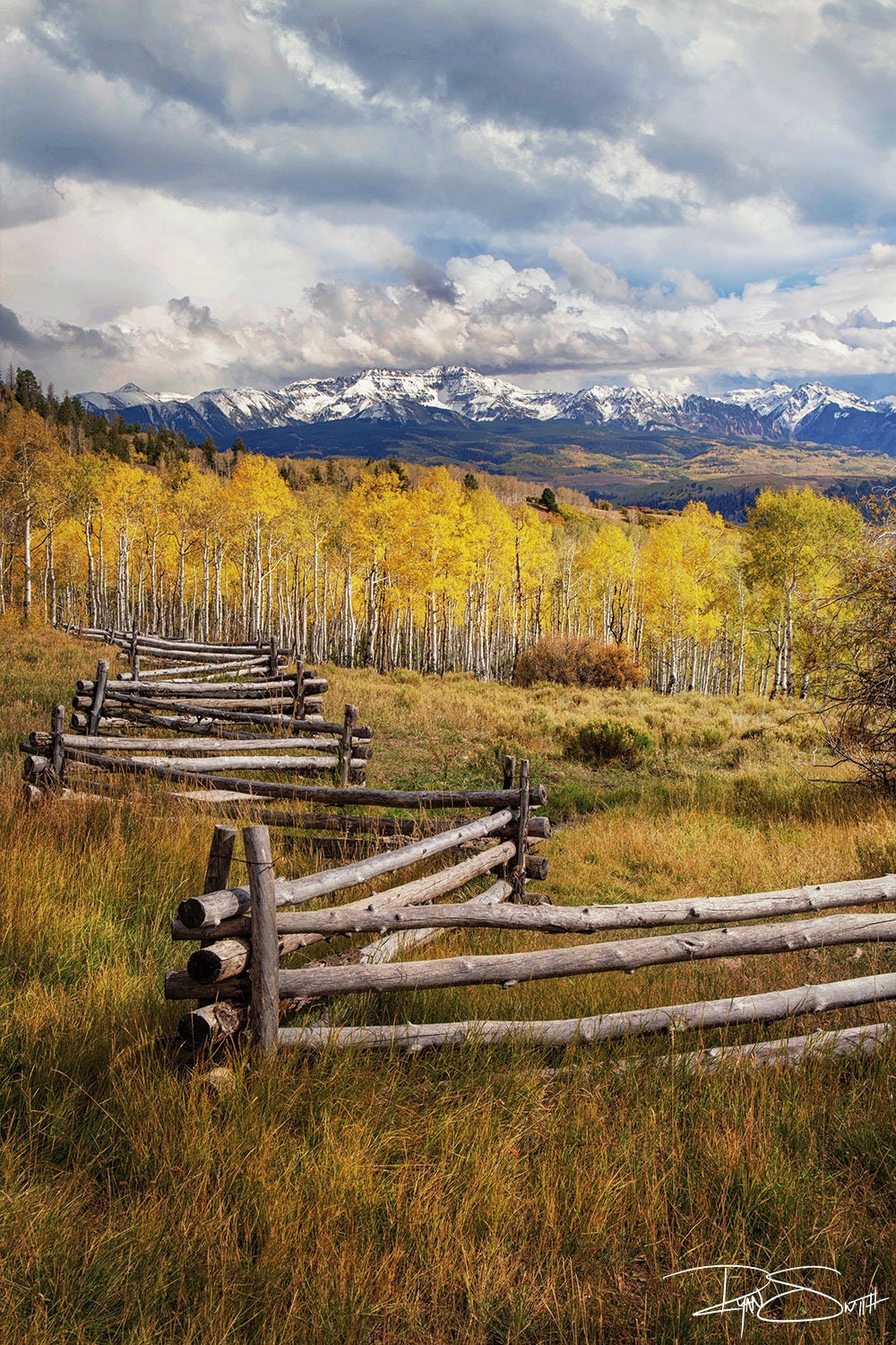 Autumn Wall Decor for your Living Room Tree Canvas Wall Art | Etsy
