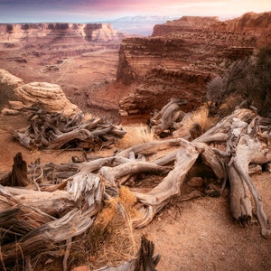 Southwestern Photography Print, Canyonlands Photo, Utah Desert Print ...