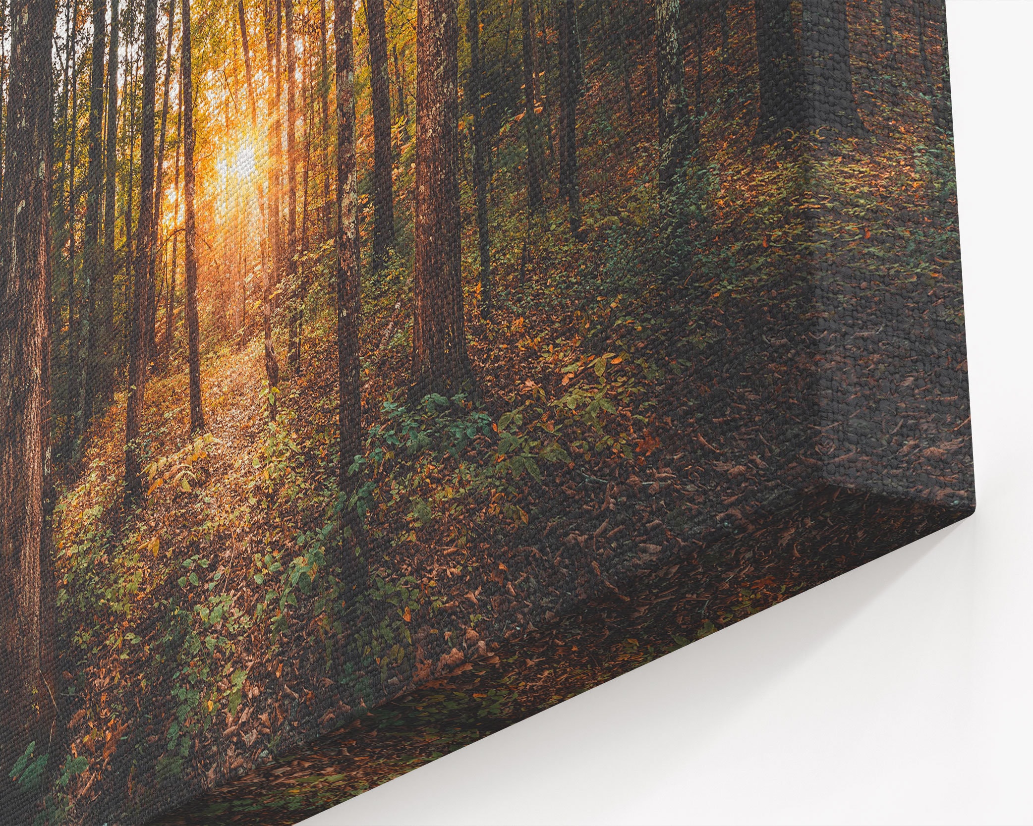 Tree Canvas Wall Art Forest Canvas Art Nature Canvas Print | Etsy