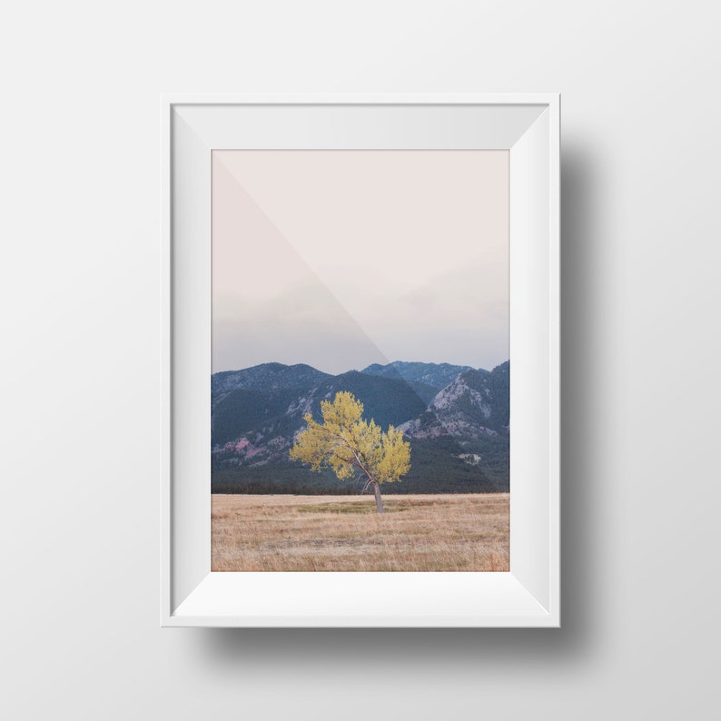 Tree Poster Print Wall Art Print Minimalist Tree Print - Etsy