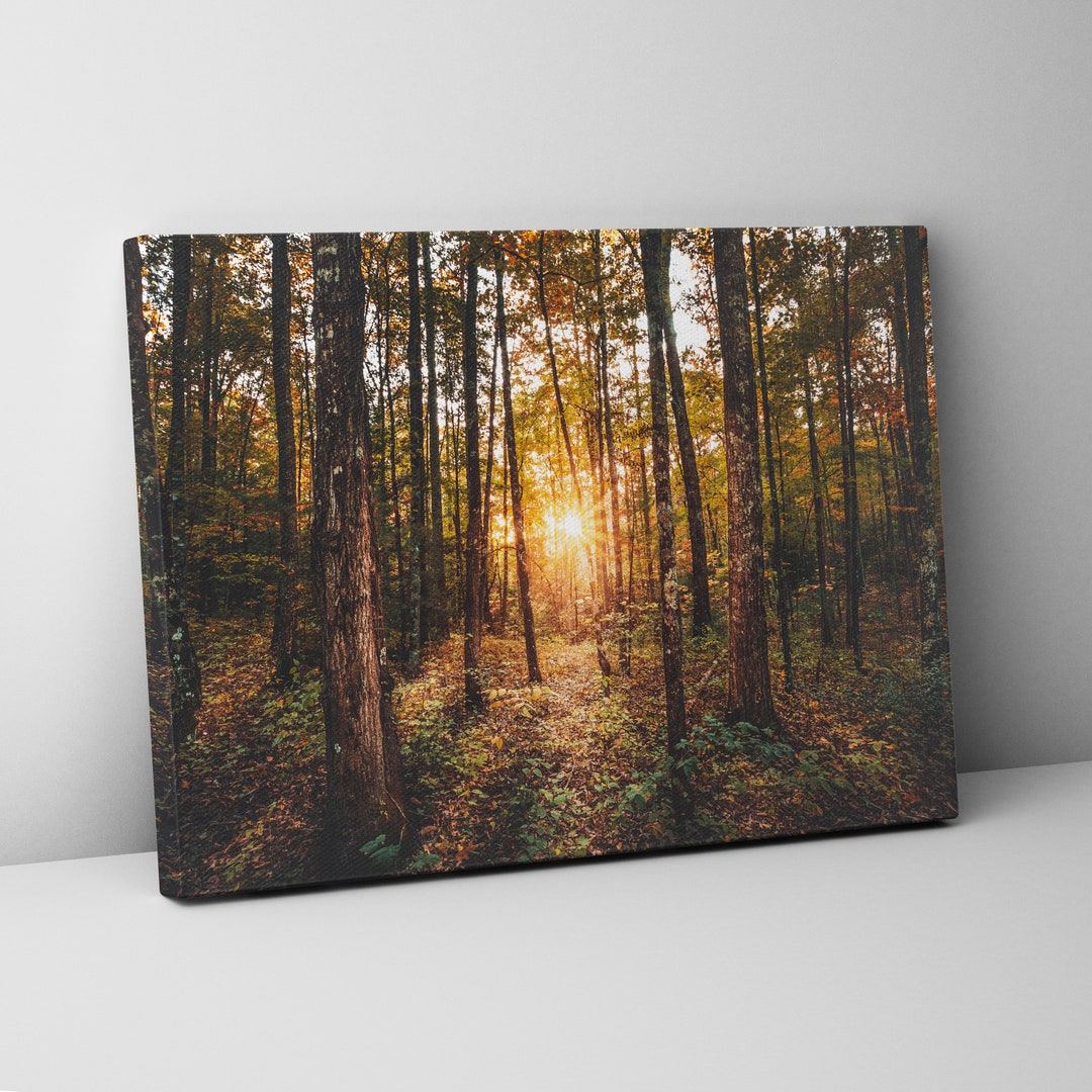 Tree Canvas Wall Art, Forest Canvas Art, Nature Canvas Print, Landscape ...