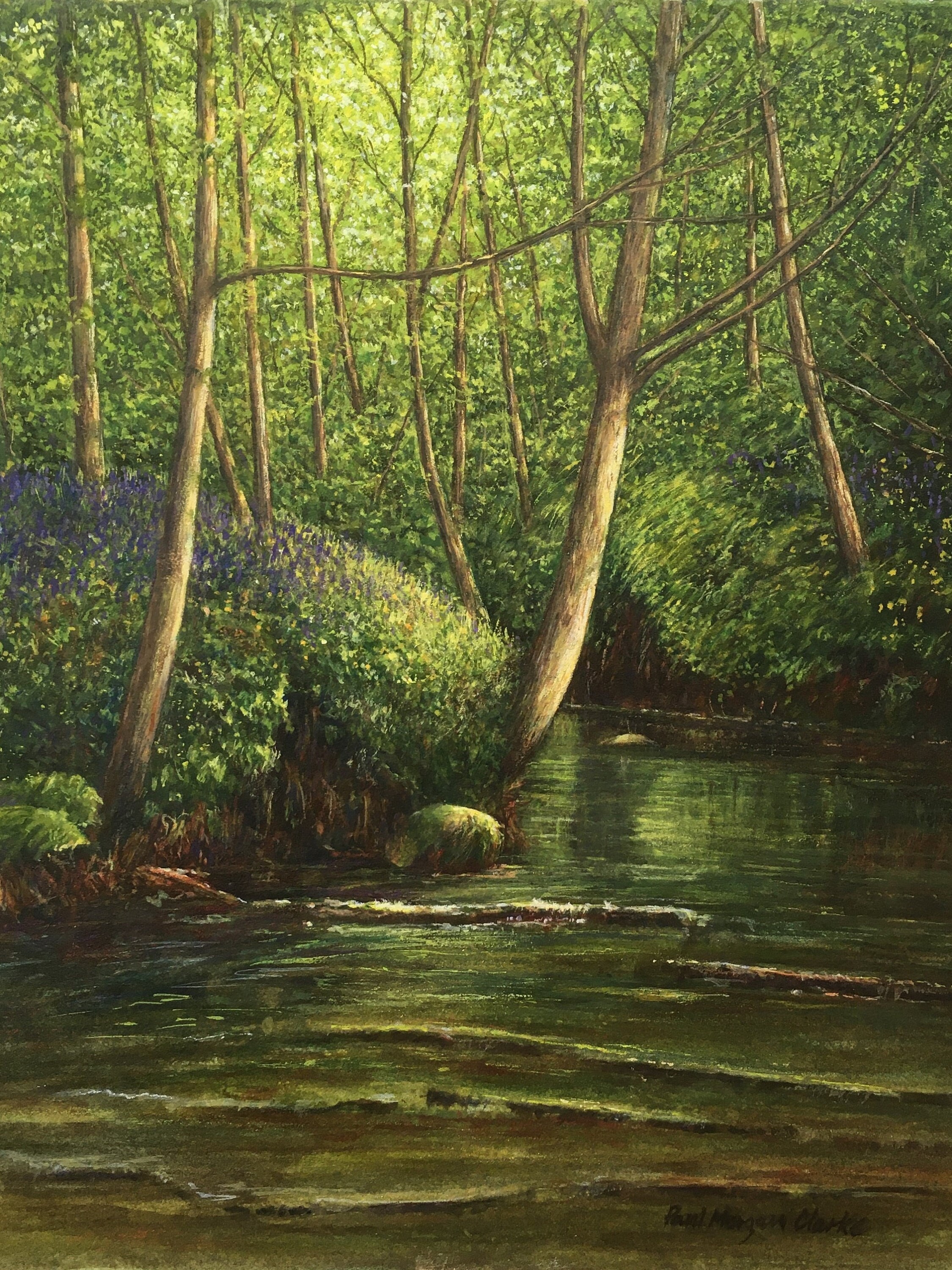 Bluebell River Bank Original Watercolour & Gouache Painting Paul Morgan ...