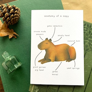 Funny Capybara Greetings Card, Funny Animal Anatomy Cards Blank Inside ...