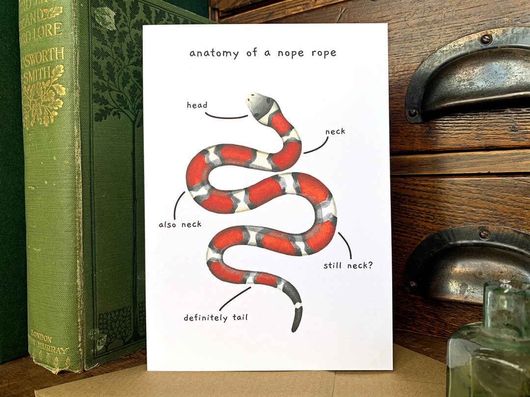 Funny Snake Anatomy of a Nope Rope Greetings Card, Funny Animal Anatomy ...