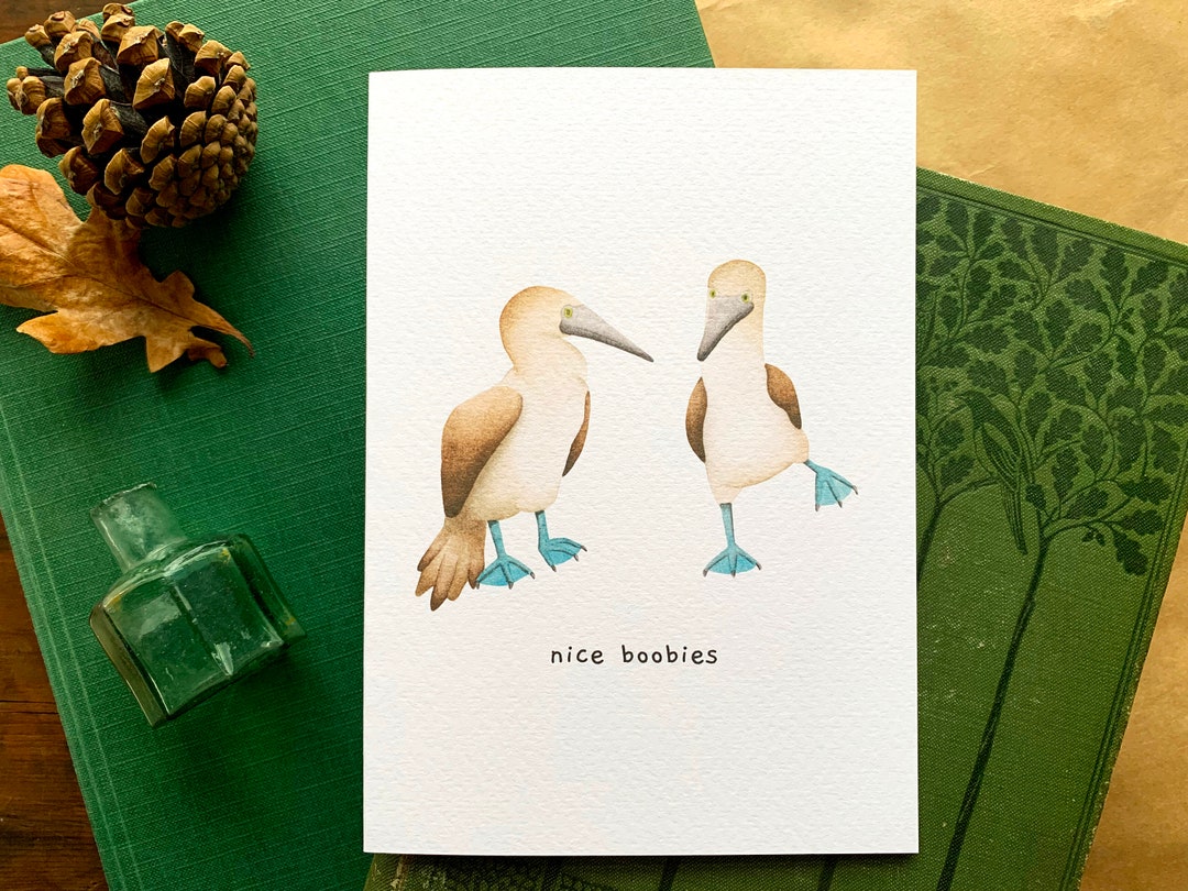 Funny 'nice Boobies' Anniversary Card, Rude Blue Footed Boobies Blank ...