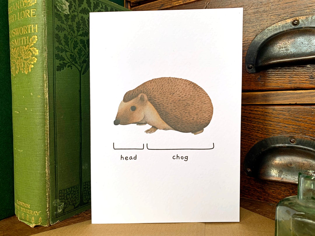 Head Chog Hedgehog Card: Funny Animal Greetings Card - Etsy UK