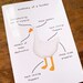 Funny Annotated Goose Greeting Card, Small Untitled Goose Game Funny ...