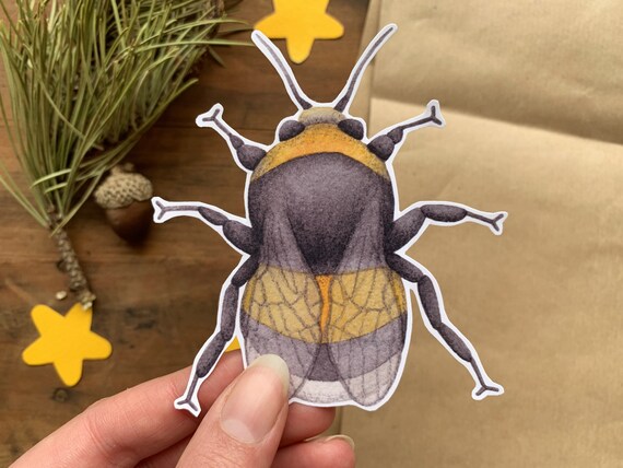 White Tailed Bumblebee Vinyl Sticker Cute Bee Entomology | Etsy