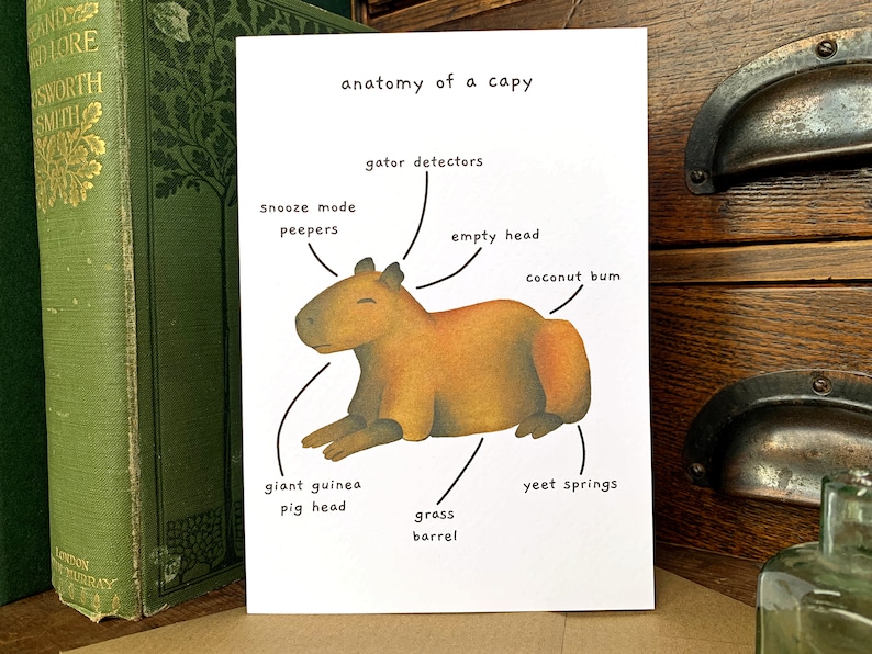 Funny Capybara Greetings Card, Funny Animal Anatomy Cards Blank Inside ...