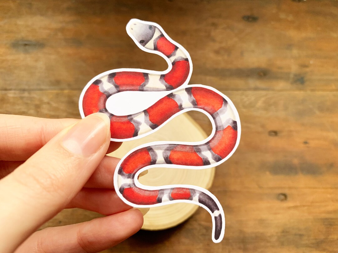 Red Milk Snake Gloss Sticker, Snake Laptop or Phone Sticker Small Gift ...
