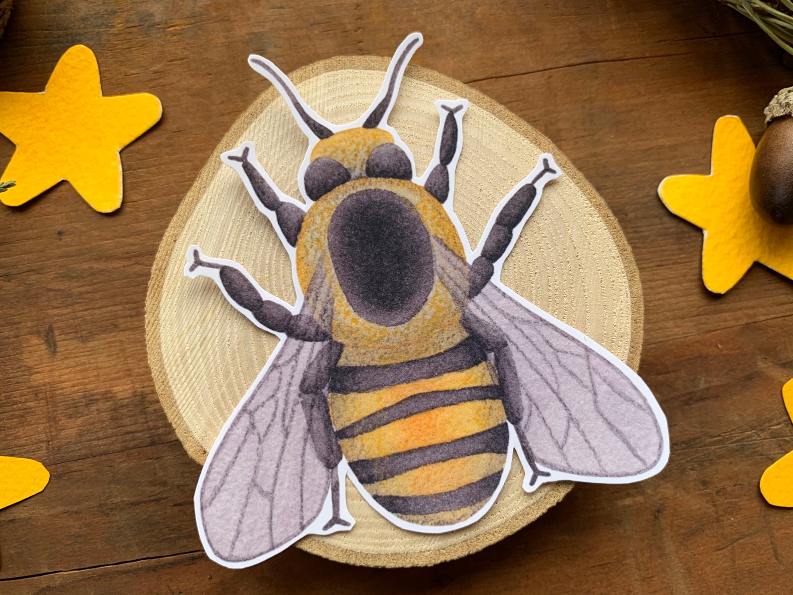 Honey Bee Vinyl Sticker, Cute Bee Entomology Laptop Sticker, Bee Insect ...