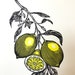 Lemons Limited Linoleum Edition Linocut Block Handprinted on Hahnemühle ...