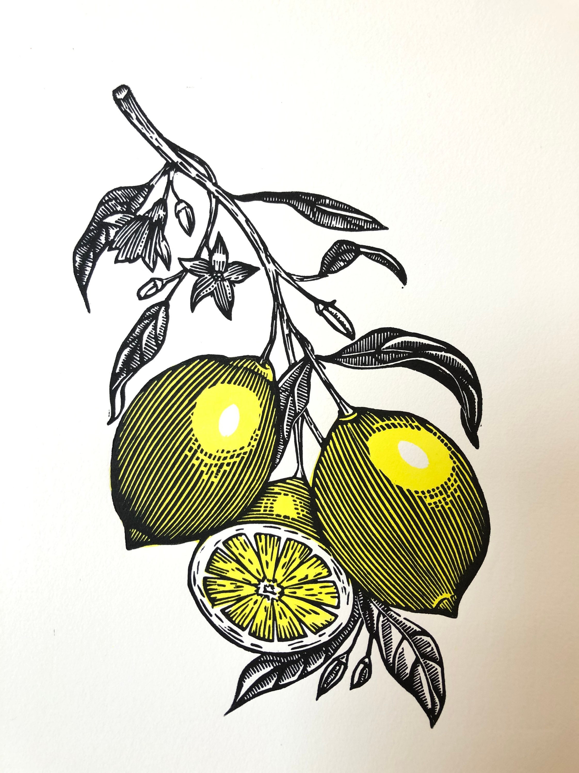 Lemons Limited Linoleum Edition Linocut Block Handprinted on - Etsy