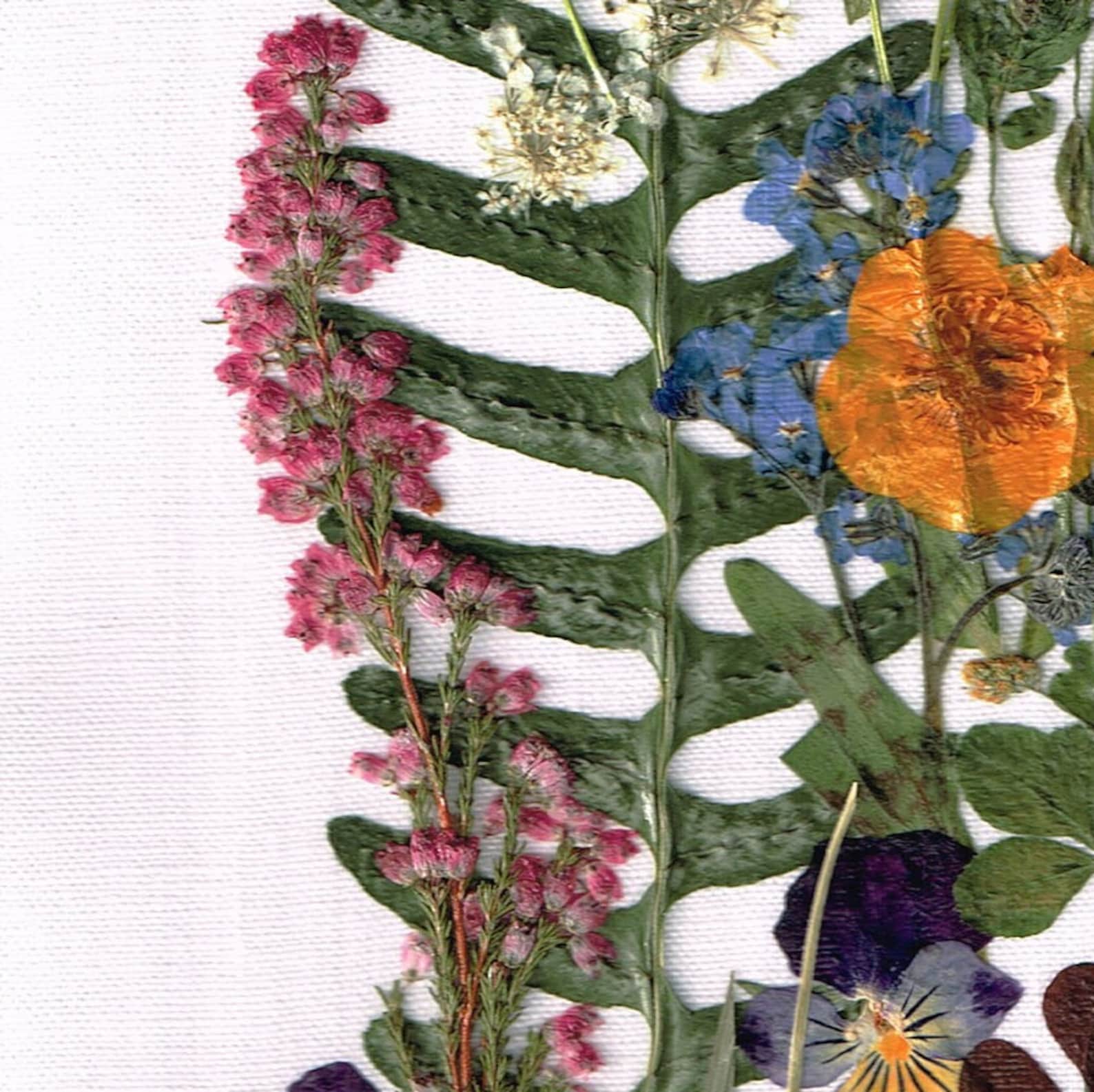 Pressed Fern Wall Art Made of Real Preserved Fern Leaves With Heathers ...