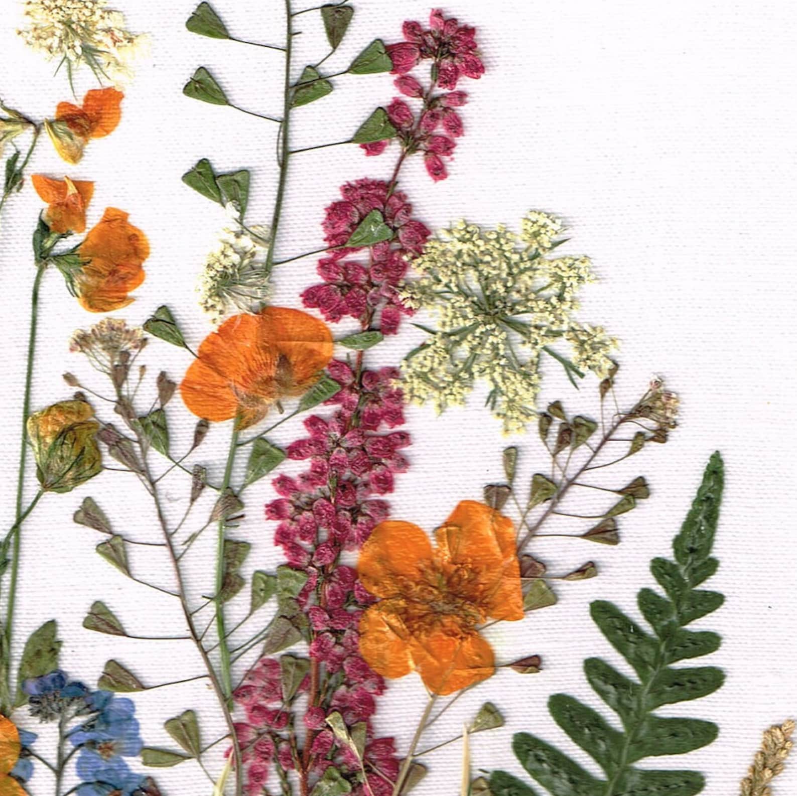 Pressed Fern Wall Art Made of Real Preserved Fern Leaves With Heathers ...