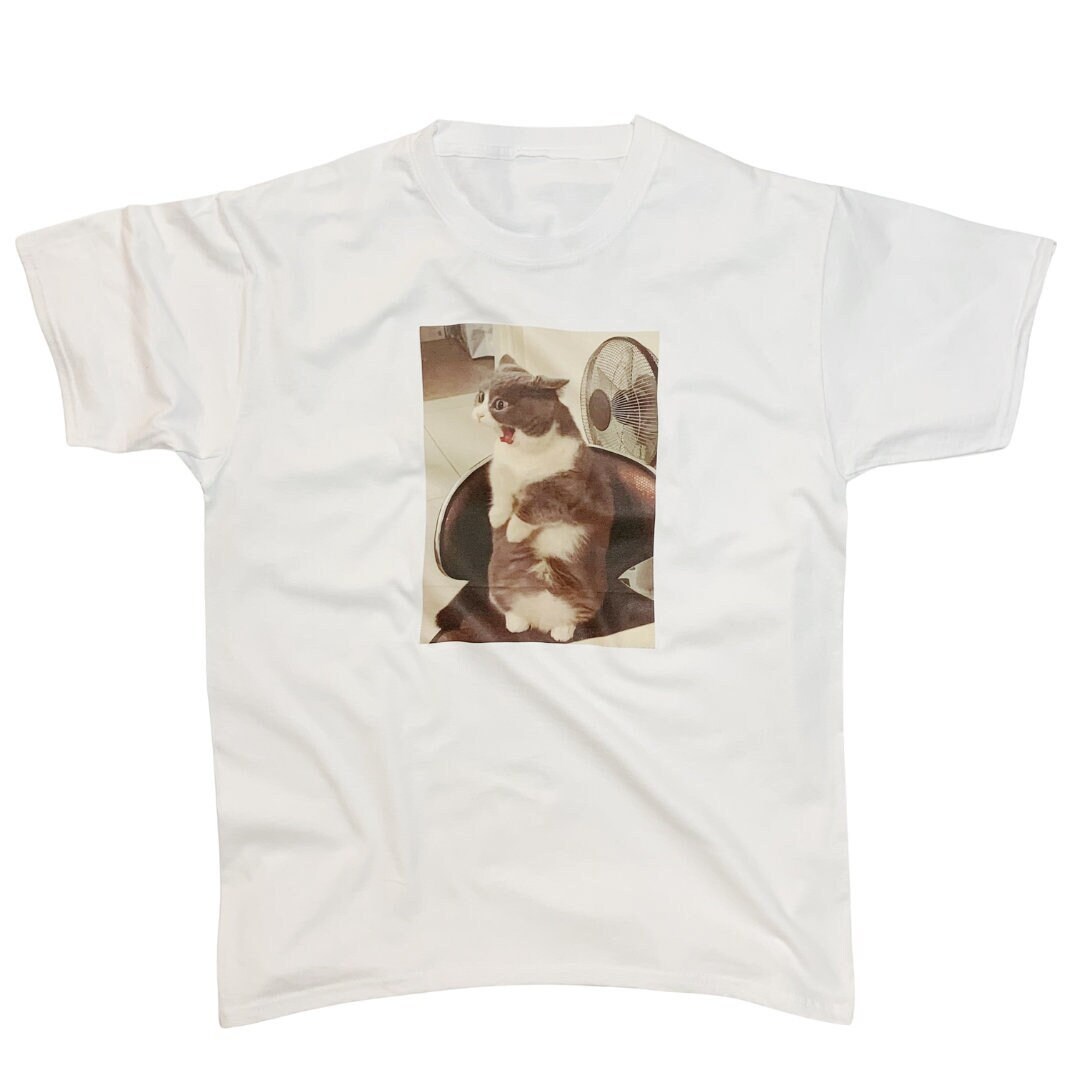 Shocked Cat Meme T-shirt Scared Feline Cute Funny Top - Etsy
