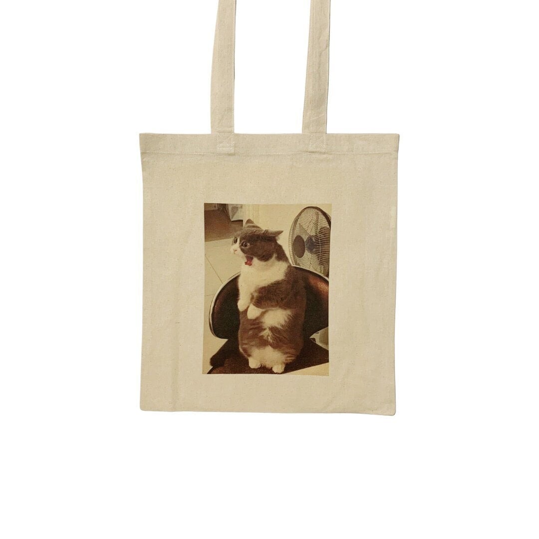 Shocked Cat Meme Tote Bag Scared Feline Cute Funny Bag - Etsy