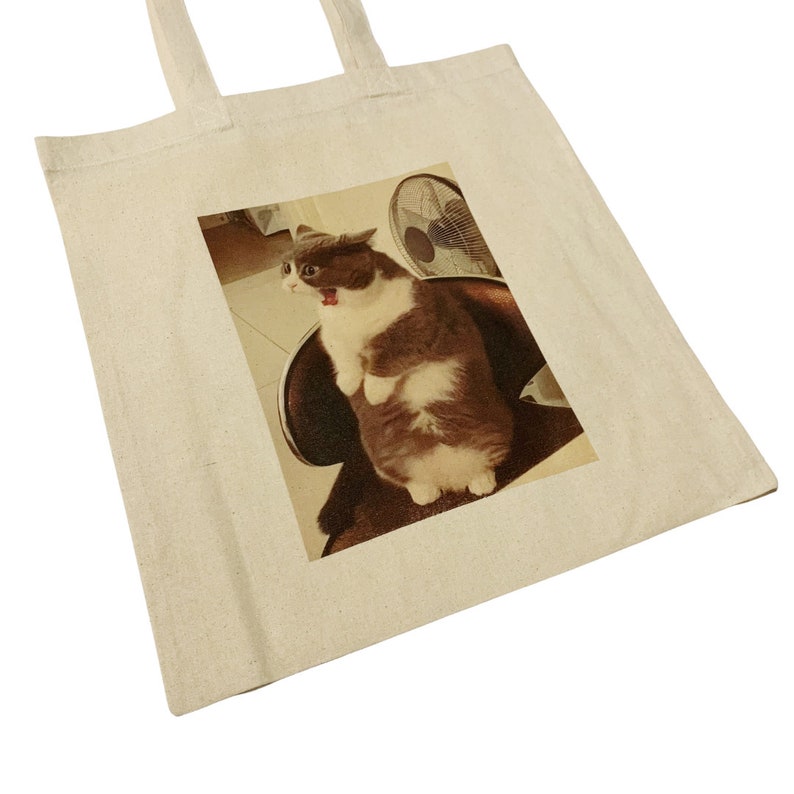 Shocked Cat Meme Tote Bag Scared Feline Cute Funny Bag - Etsy