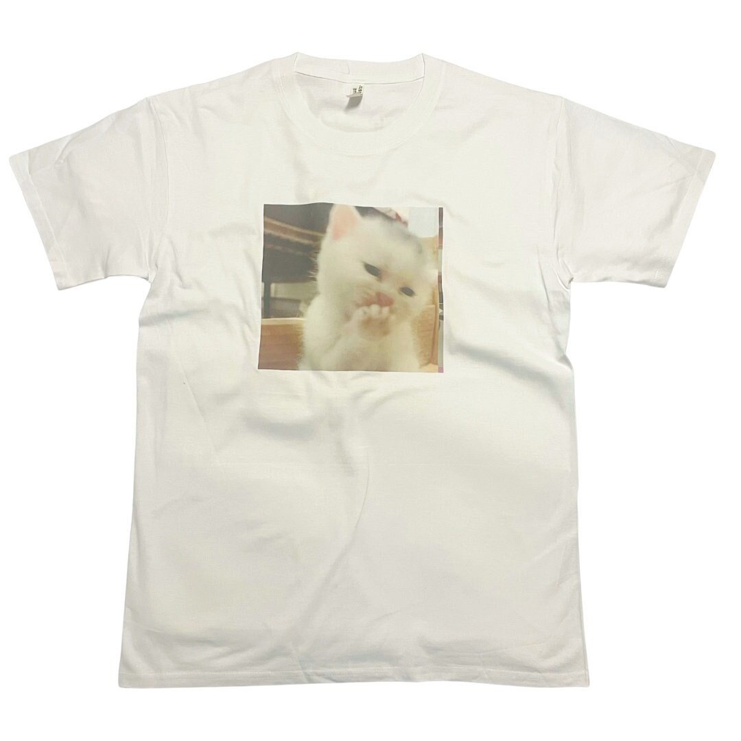 Cute Cat Meme T-shirt: Funny Graphic Print, Soft Cotton Top - Etsy