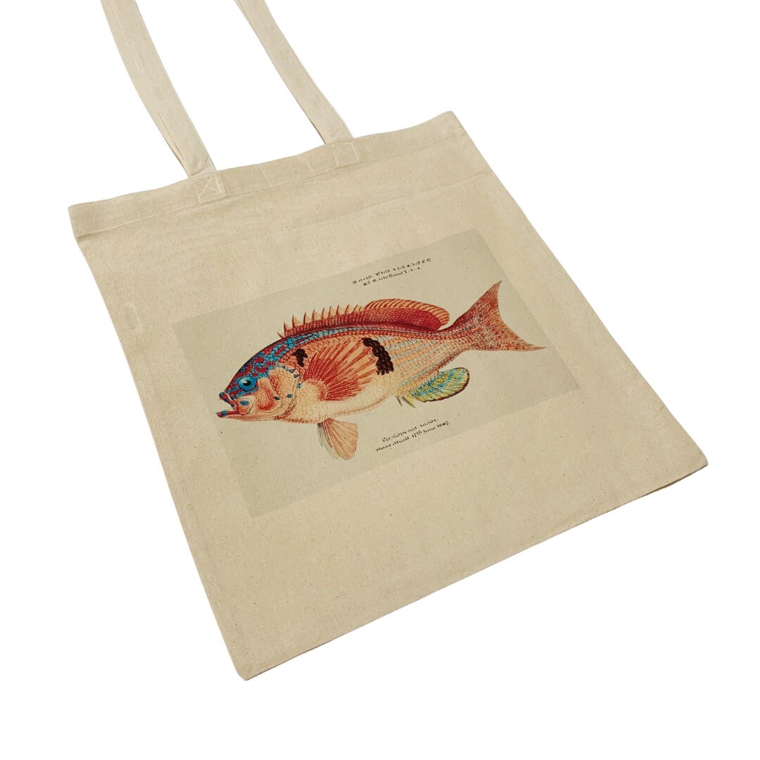 Vintage Fish Art Canvas Tote Bag: Frank Edward Clarke Illustration - Etsy