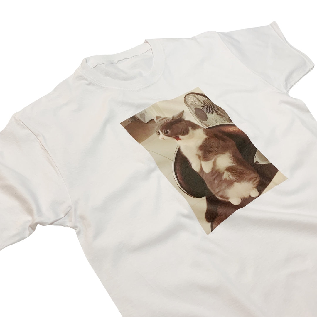 Shocked Cat Meme T-shirt Scared Feline Cute Funny Top - Etsy