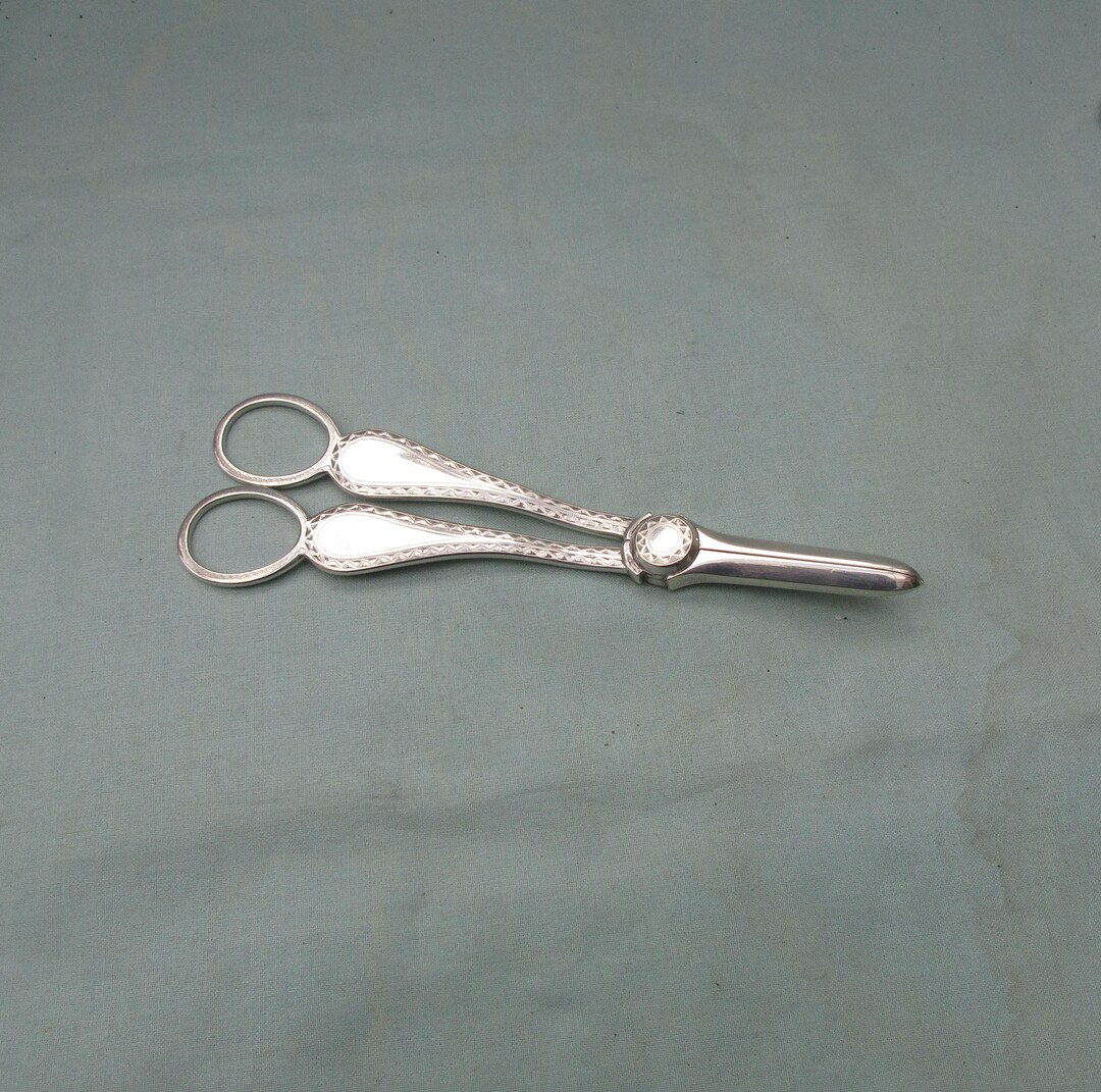 Vintage Silver Plated Grape Scissors - Etsy