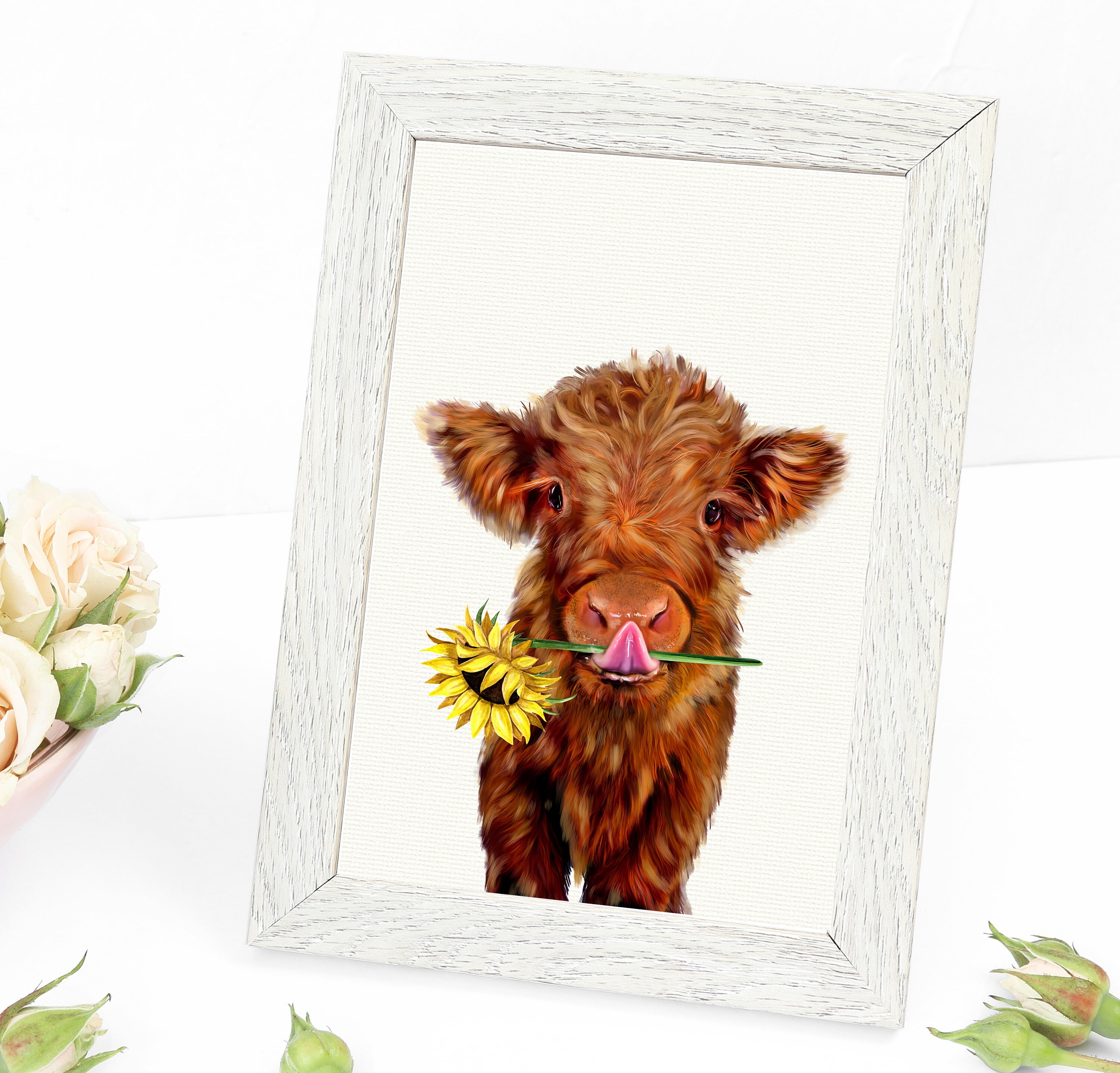 Highland Calf Print Scottish Cow Prints Baby Cow Art Print - Etsy Canada