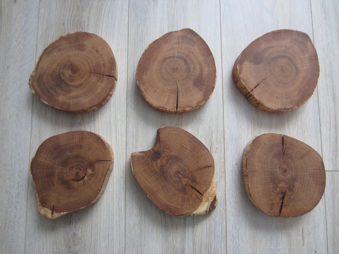 Tree Disc / Wooden Disc as / Garnish Board - Etsy