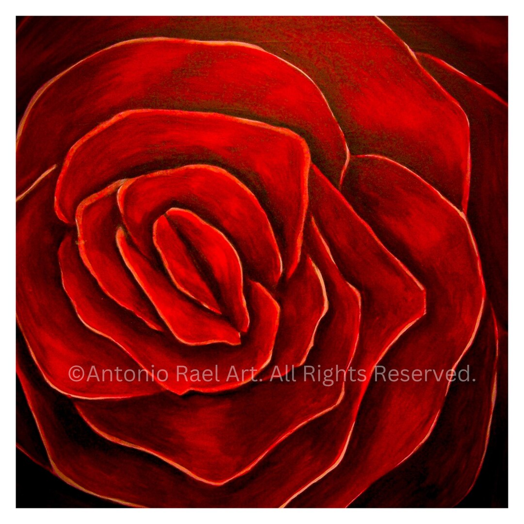 Red Rose Signed Print, 8" X 8" Velvet Rose Wall Art, Rose Art, Red Rose ...
