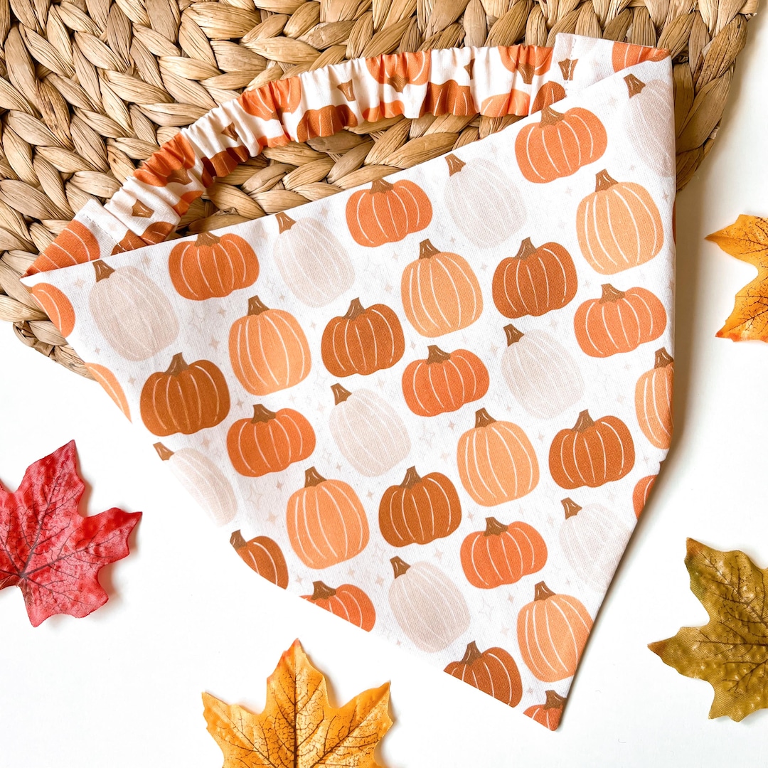 Pick of the Patch | Autumn Dog Bandana | Fall Halloween Scrunchie ...