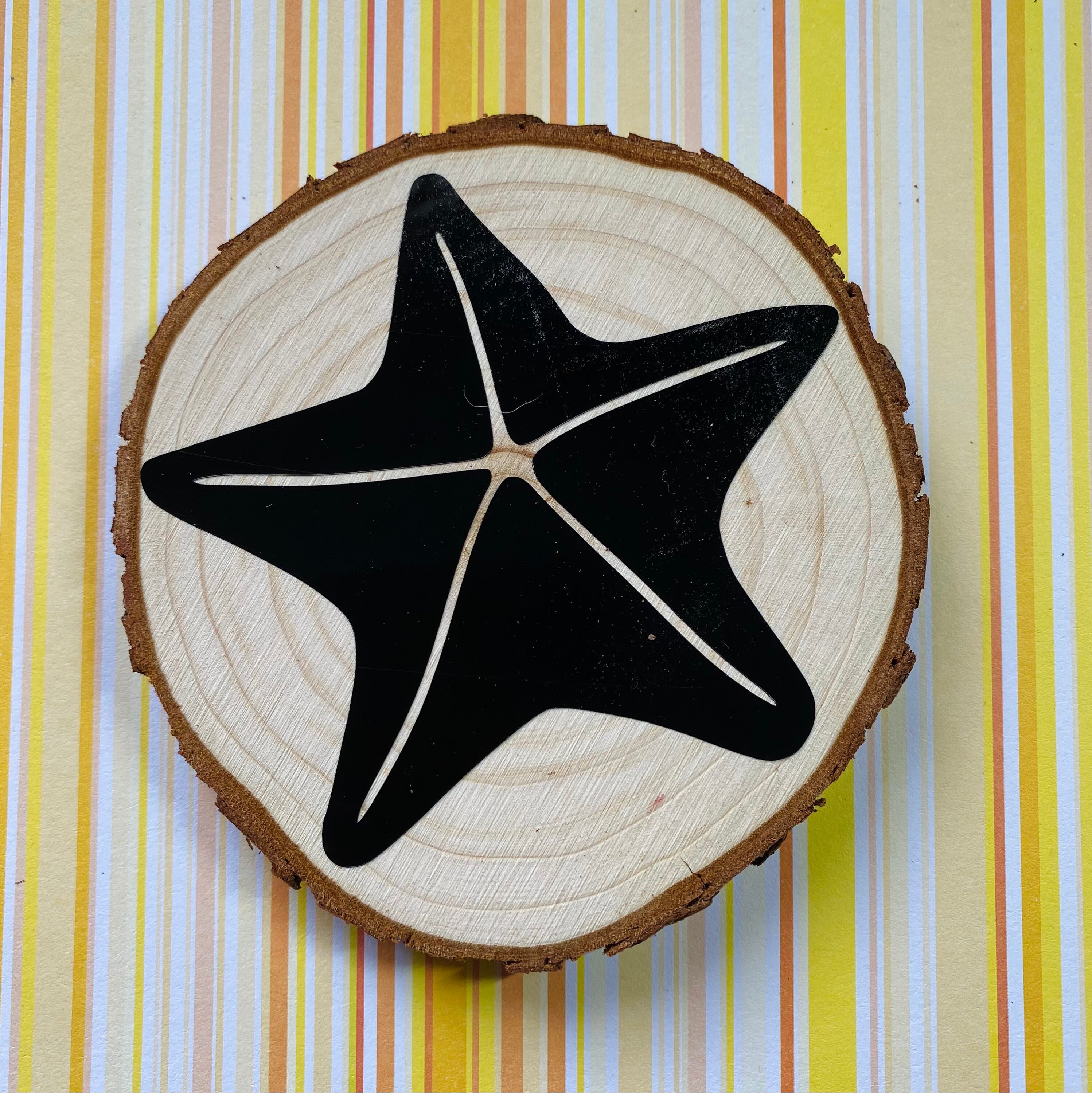 Natural Wooden Beach Coasters, Seaside Coasters, Coaster Gift Set ...