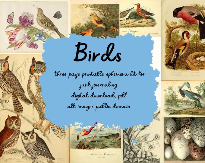 Bird Ephemera Kit | Printable Download for Junk Journaling | Fairy ...