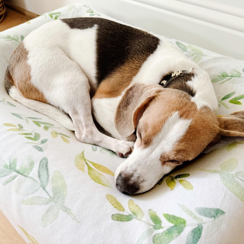 Linen Cotton Dog Bed - Etsy
