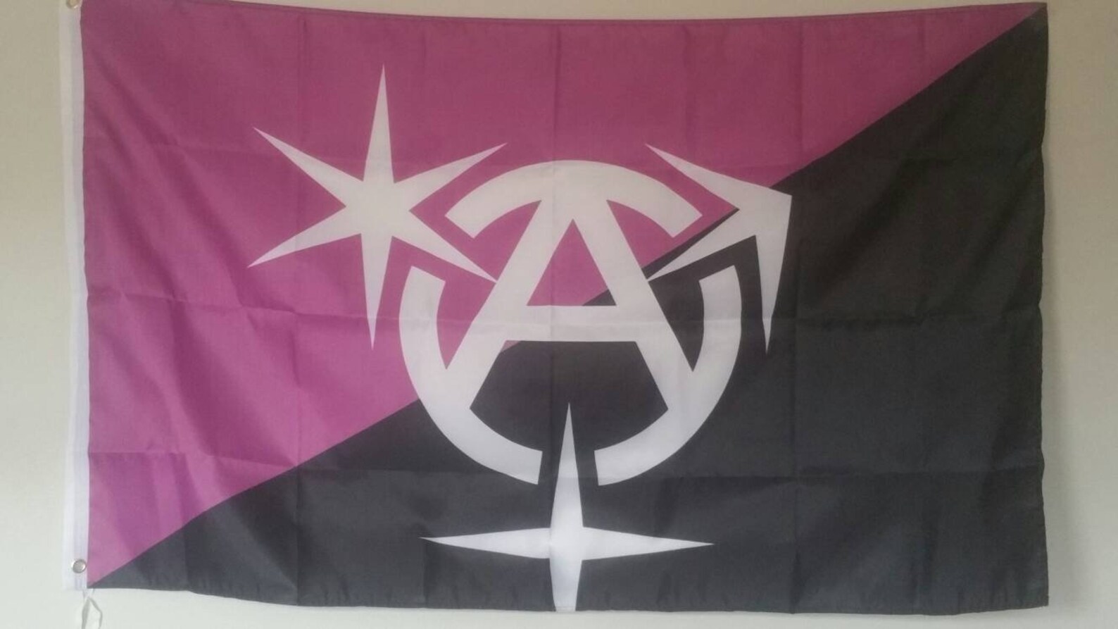 Queer Anarchy Flag Banner 3x5Ft Anarcha-Queer Trans LGBT Pink | Etsy