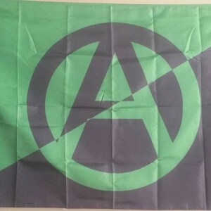 Green Anarchy 1 Flag Banner 3x5Ft Anarcho-Primitivism Eco | Etsy