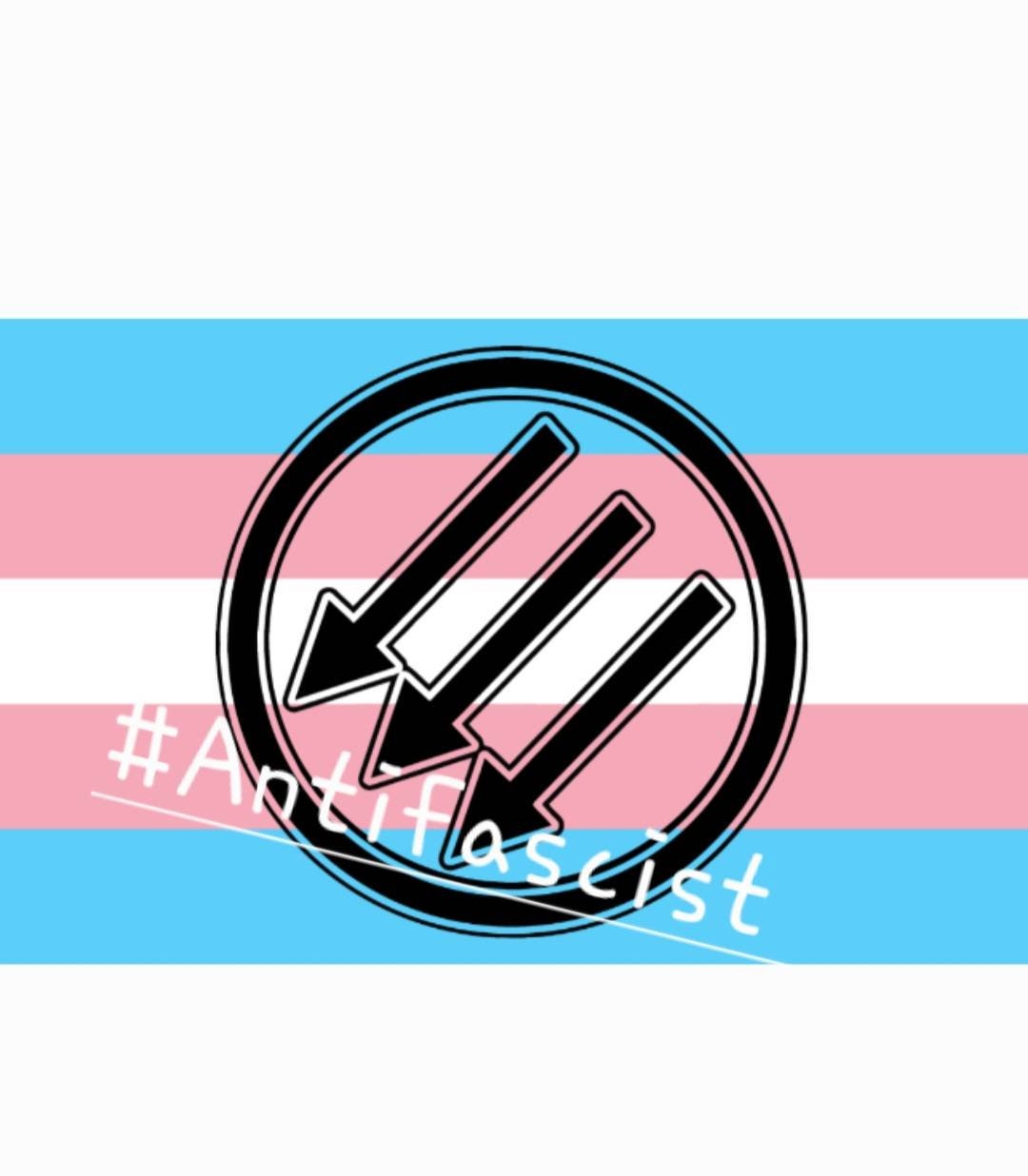 Three Arrows Transgender Flag Banner 3x5ft Anti-transphobic Action ...