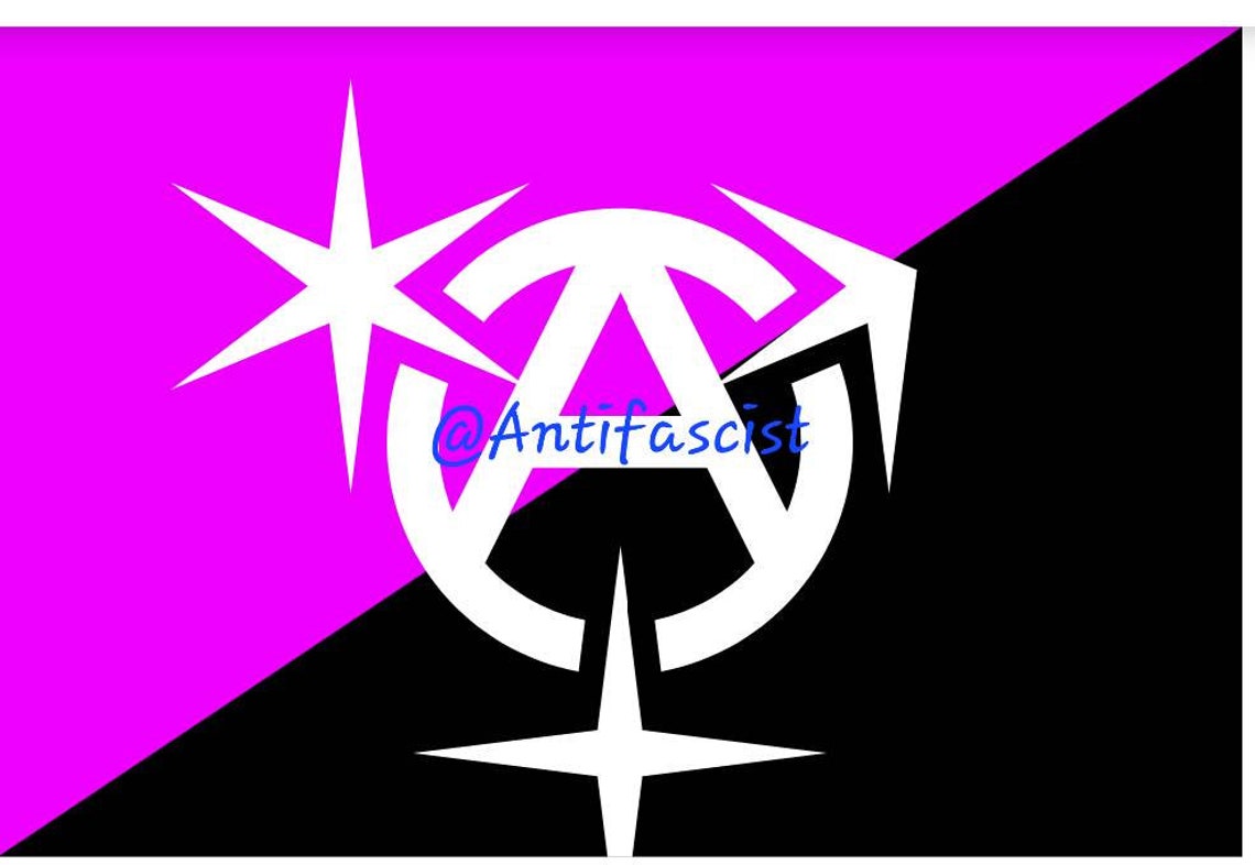 Queer Anarchy Flag Banner 3x5ft Anarcha-queer Trans LGBT Pink Punk ...