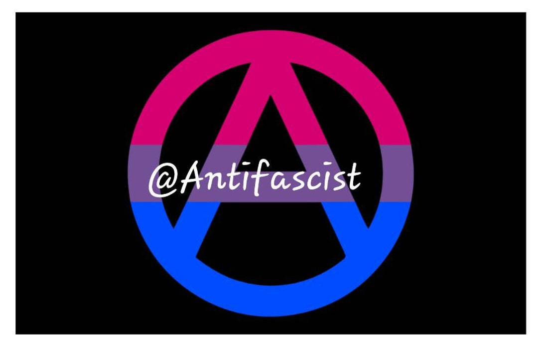 Queer Bisexuality Anarchy Anarchist Flag Banner 3x5ft Bisexual Pride ...