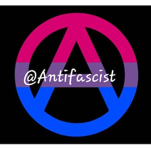 Queer Bisexuality Anarchy Anarchist Flag Banner 3x5ft Bisexual Pride ...