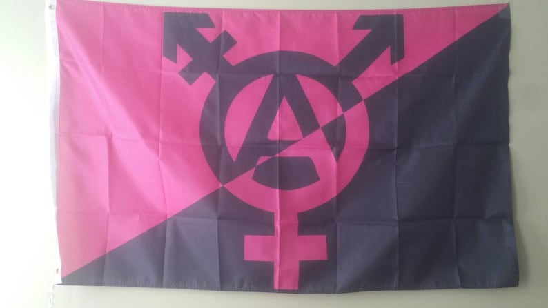 Pink Anarchy Feminist Flag Banner 3x5ft Queer Anarcha Queer Etsy