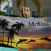 Dolphin Beach Towel, Personalized Beach Towel Adult, Custom Beach ...