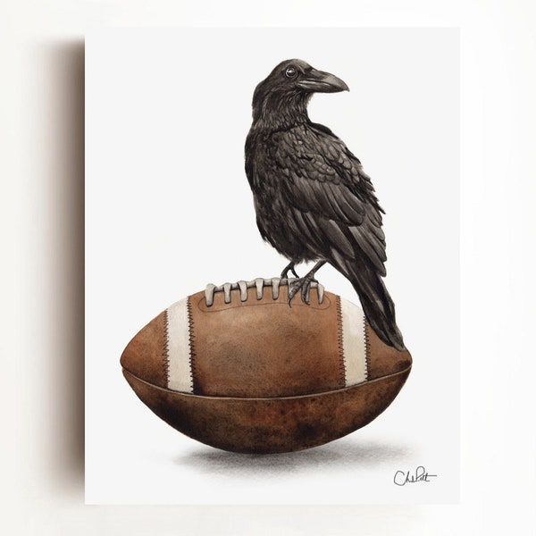 Baltimore Raven Bird Svg - Etsy
