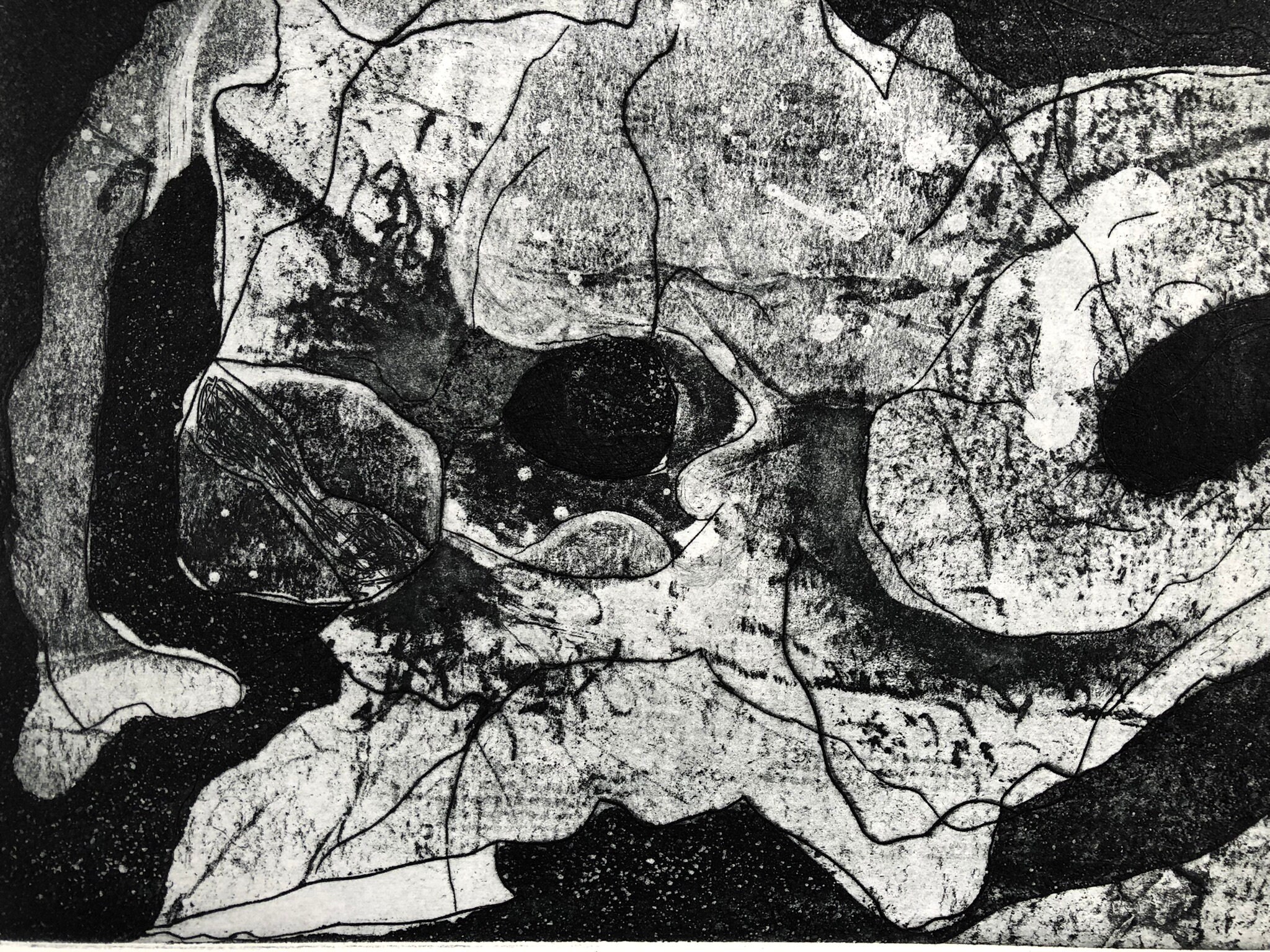 Intaglio Print, Zinc Plate Etching, Printmaking, - Etsy