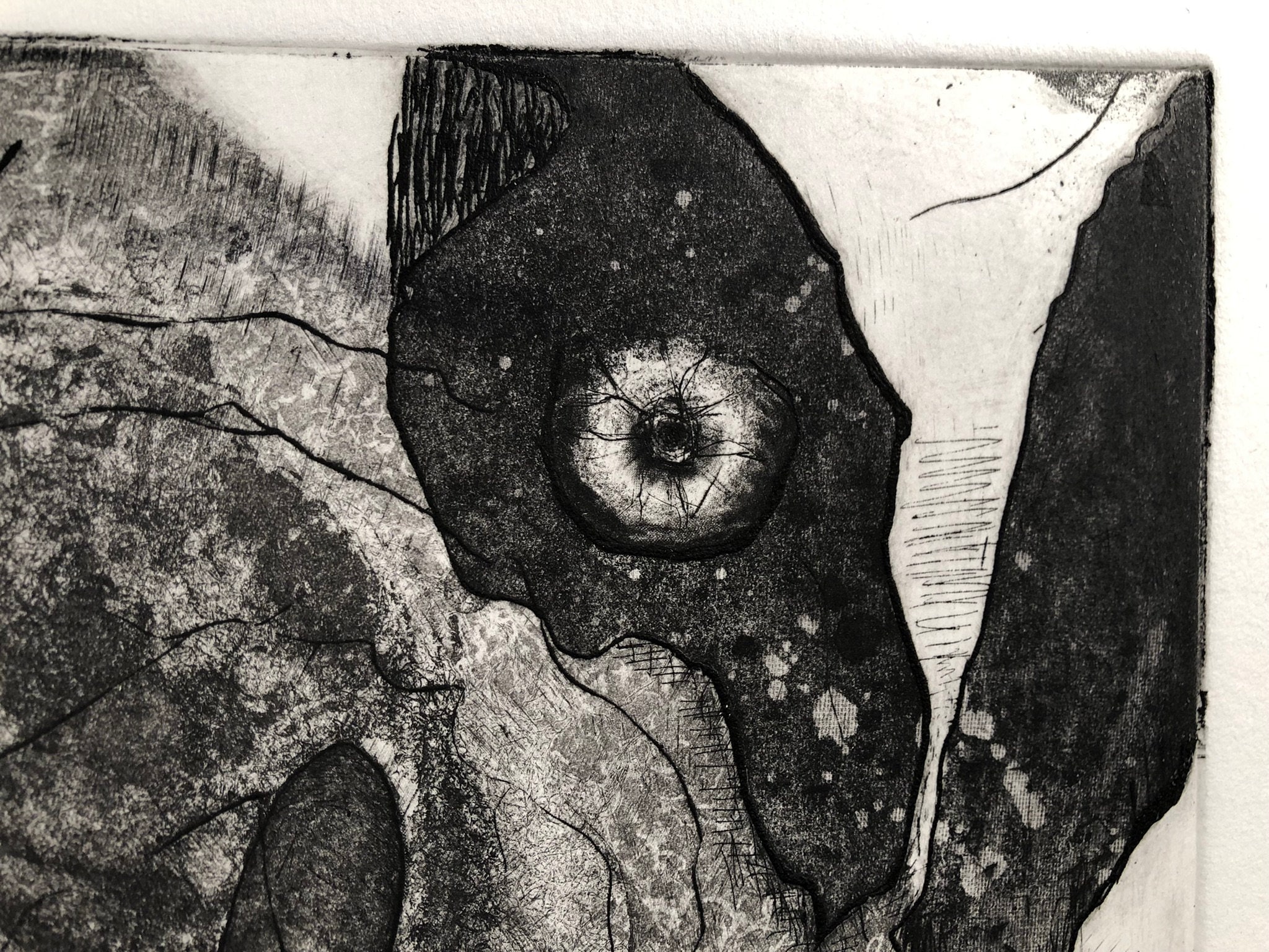 Intaglio Print, Zinc Plate Etching, Printmaking - Etsy