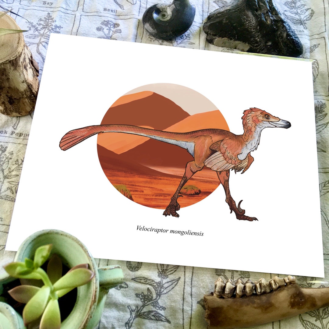 Velociraptor Dinosaur Art 8x10 Print - Etsy